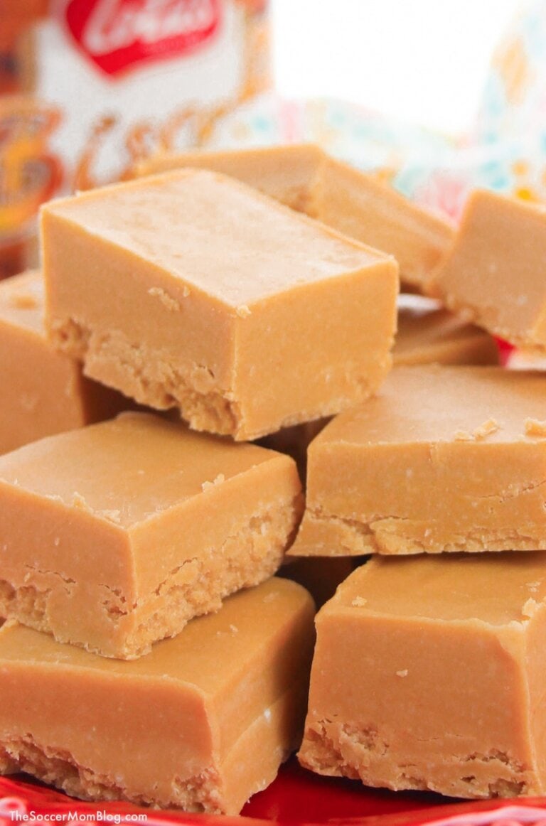 Cookie Butter Fudge - The Soccer Mom Blog