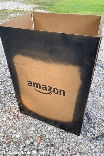 How to Make a Cell Phone Costume aka "Boxtume" w/ Amazon Prime Box