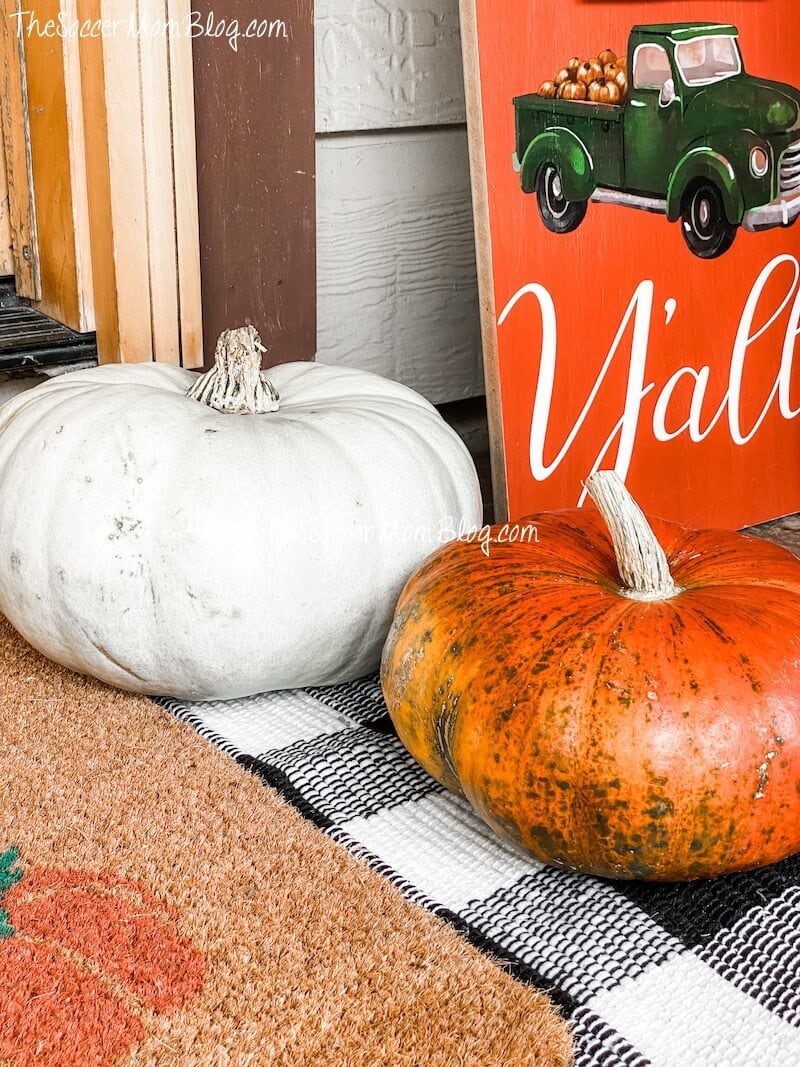How to Preserve Decorative Pumpkins without Bleach - The Soccer Mom Blog