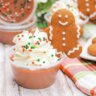 Gingerbread Jello Shots - The Soccer Mom Blog