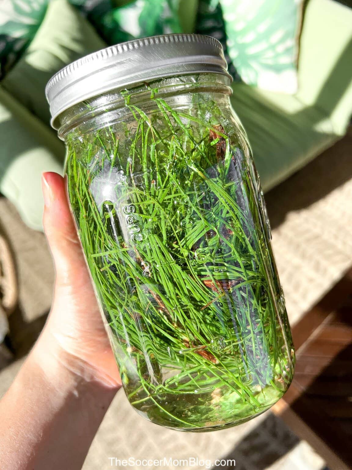 DIY Pine Needle Cleaner (Homemade Pine Sol) - The Soccer Mom Blog