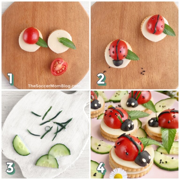 Caprese Ladybug Appetizer - The Soccer Mom Blog